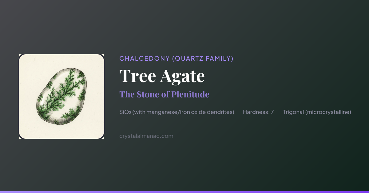 Tree Agate - The Stone of Plenitude | Crystal Almanac